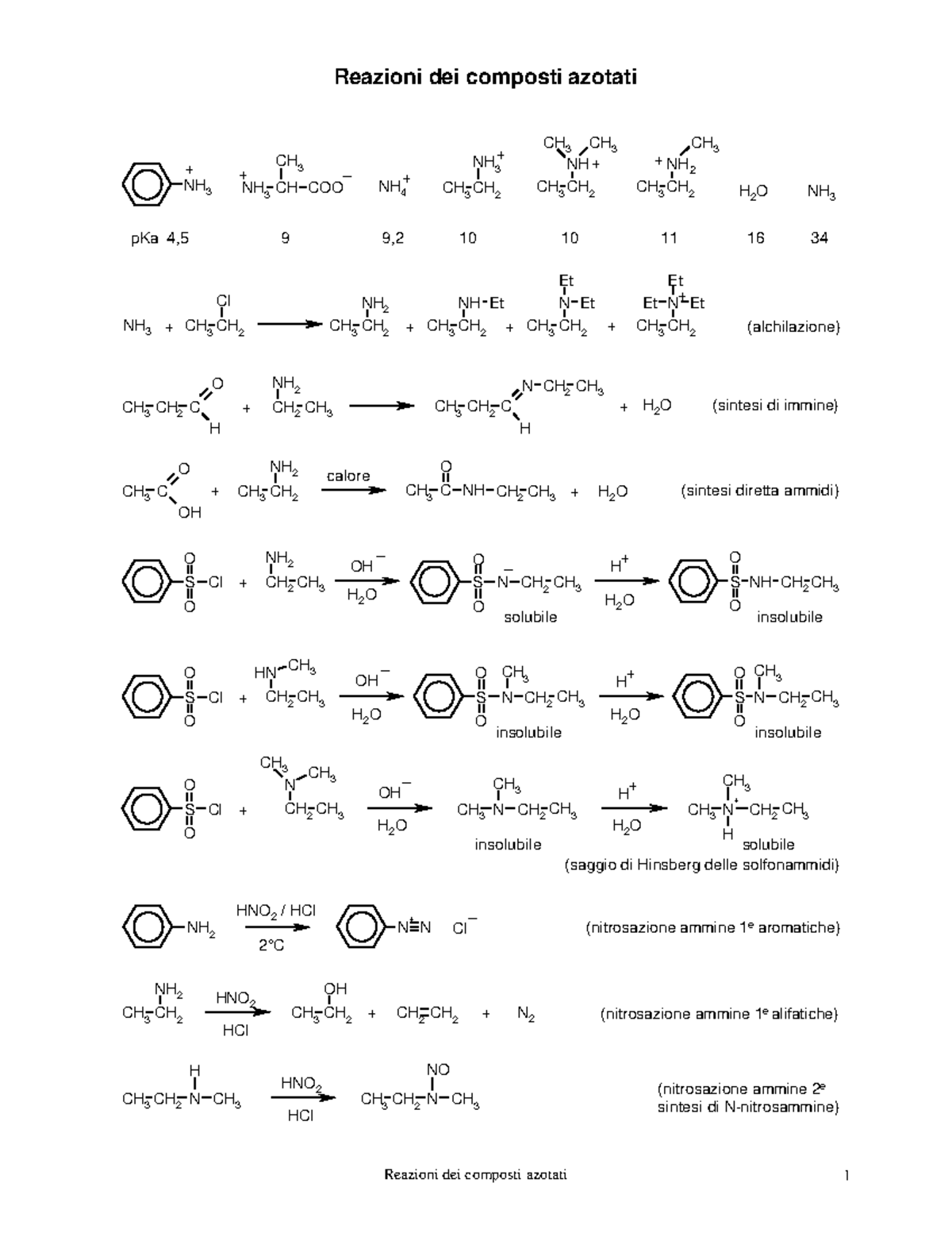 Sommario reazioni ammine - Reazioni dei composti azotati NH 3 CH COO CH ...