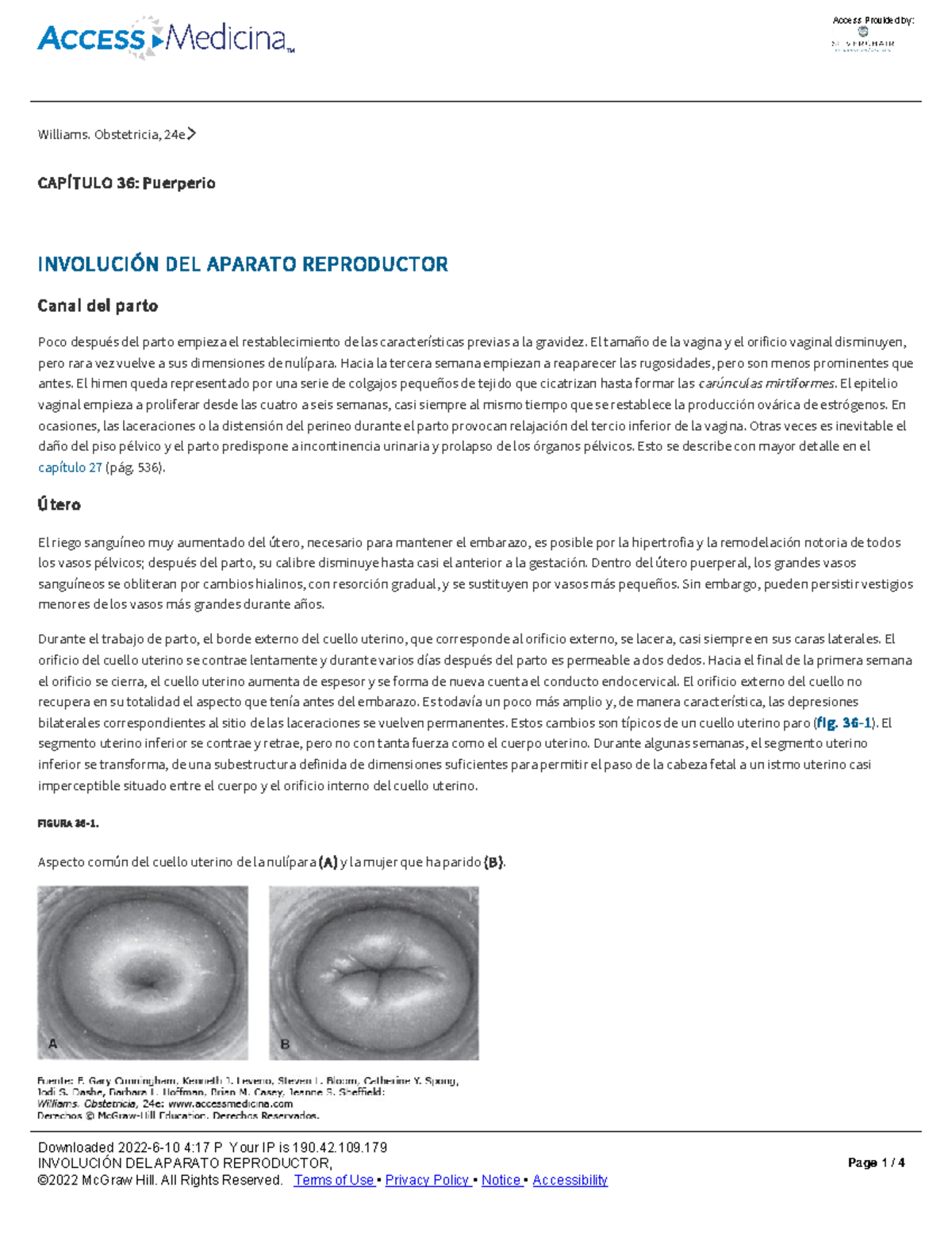 Involución DEL Aparato Reproductor - Williams. Obstetricia, 24eï ...