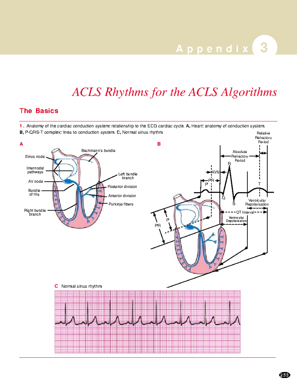 ECG Rhythms for ACLS 2013 09101532569240 - Deprecated API usage: The ...