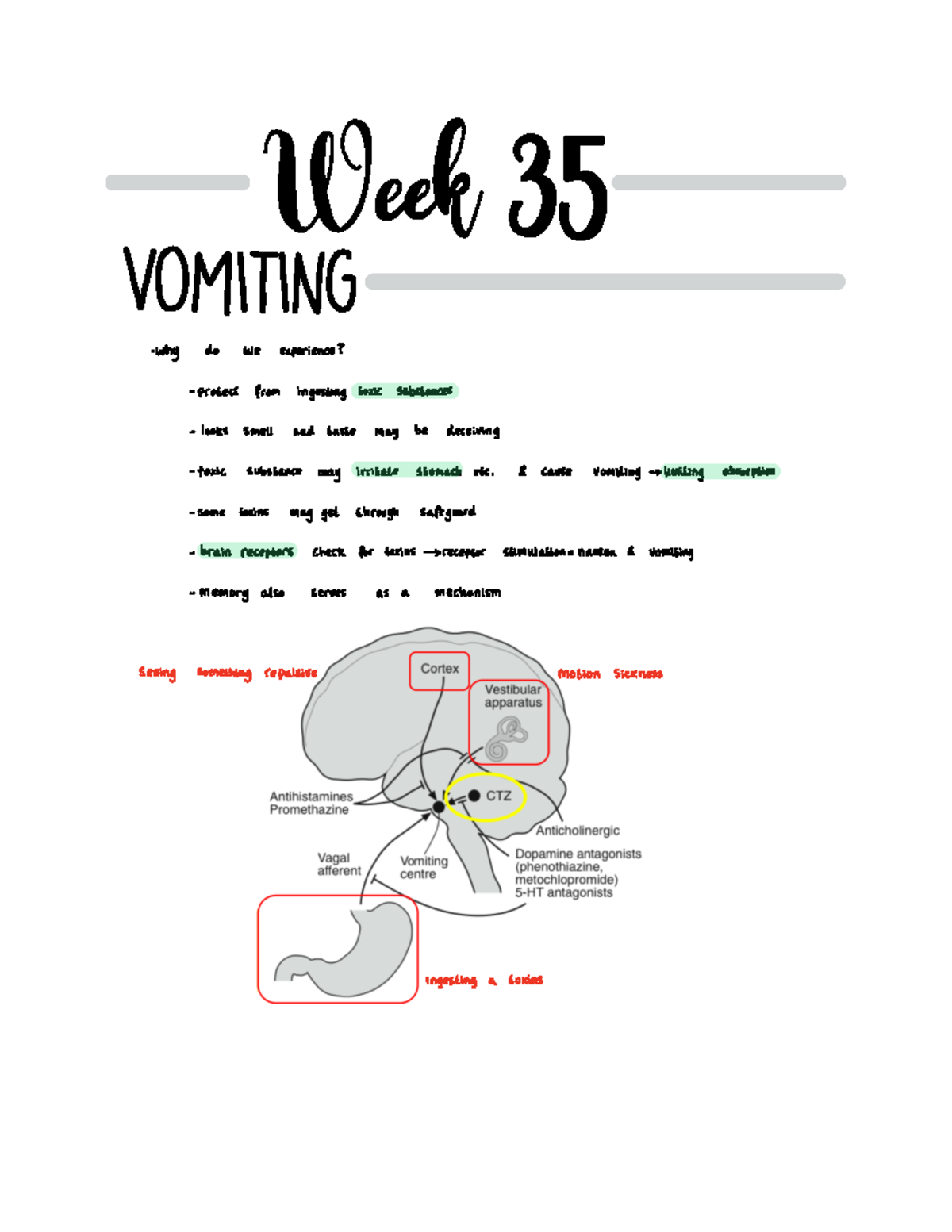 Week 35 Lecture Summaries Might Help A Bit Th9ii Ee Ffeeieeiiii Vomiting Why Do We 