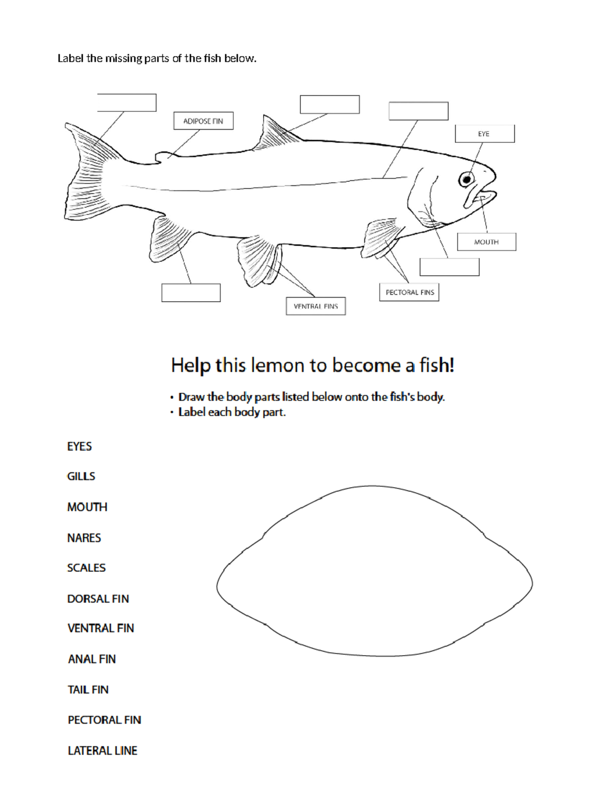 Parts of the fish 3 - Fishes - Label the missing parts of the fish ...