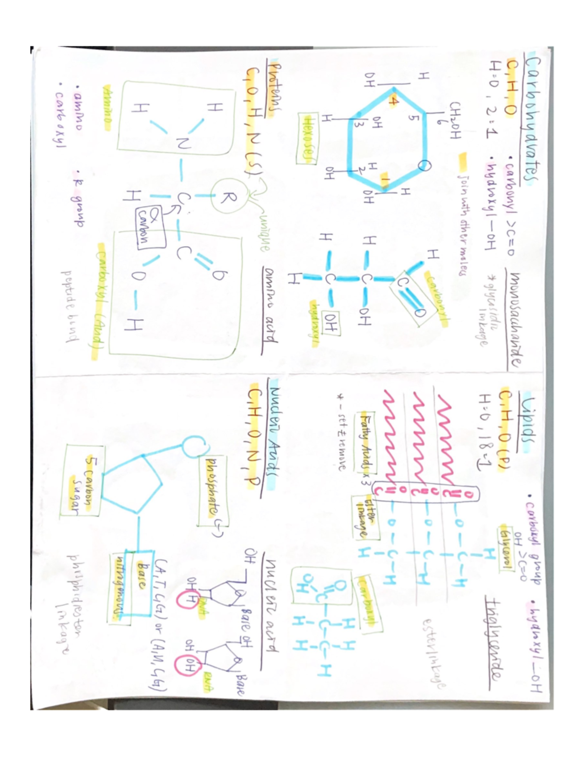 Macromolecules - Lipids, Carbohydrates, Amino acids, Nucleic acids ...
