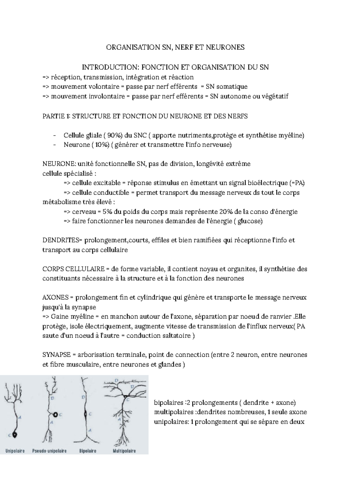 CM Cours Complet - ORGANISATION SN, NERF ET NEURONES INTRODUCTION ...