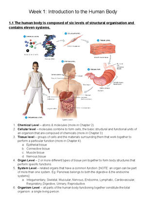 Practice multiple choice quiz - cardiovascular system. - Practice Quiz ...