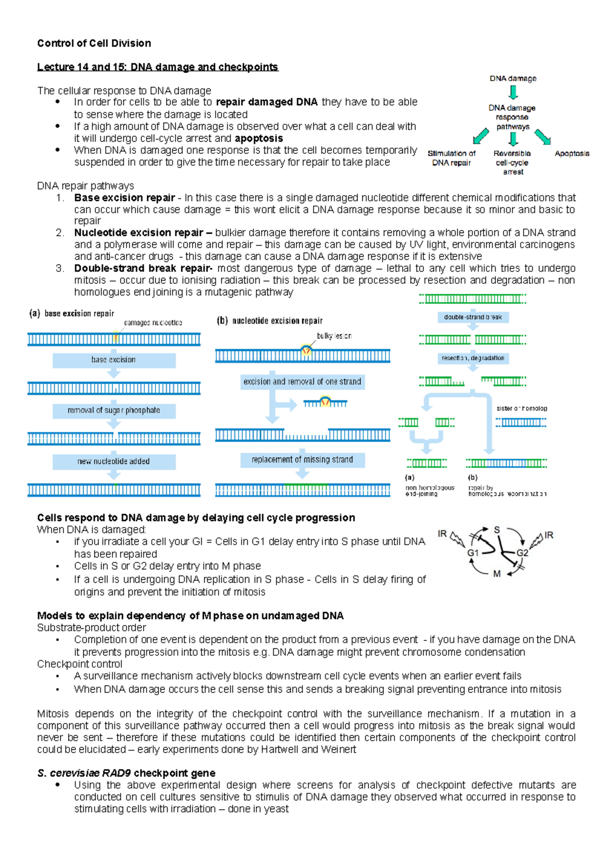 Cocd Lecture 14 and 15 - Control of Cell Division Lecture 14 and 15 ...