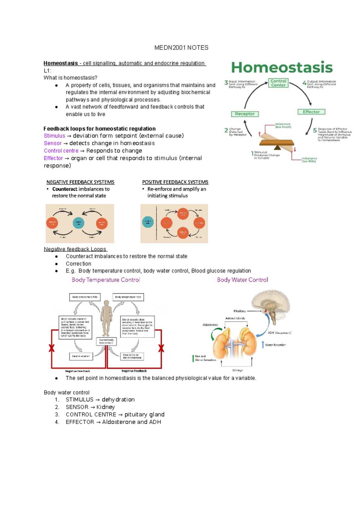 MEDN2001 Notes - MEDN2001 NOTES Homeostasis - cell signalling ...