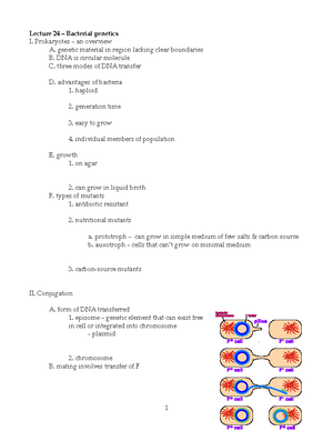 Processing the Environment - Processing the Environment Sensory ...
