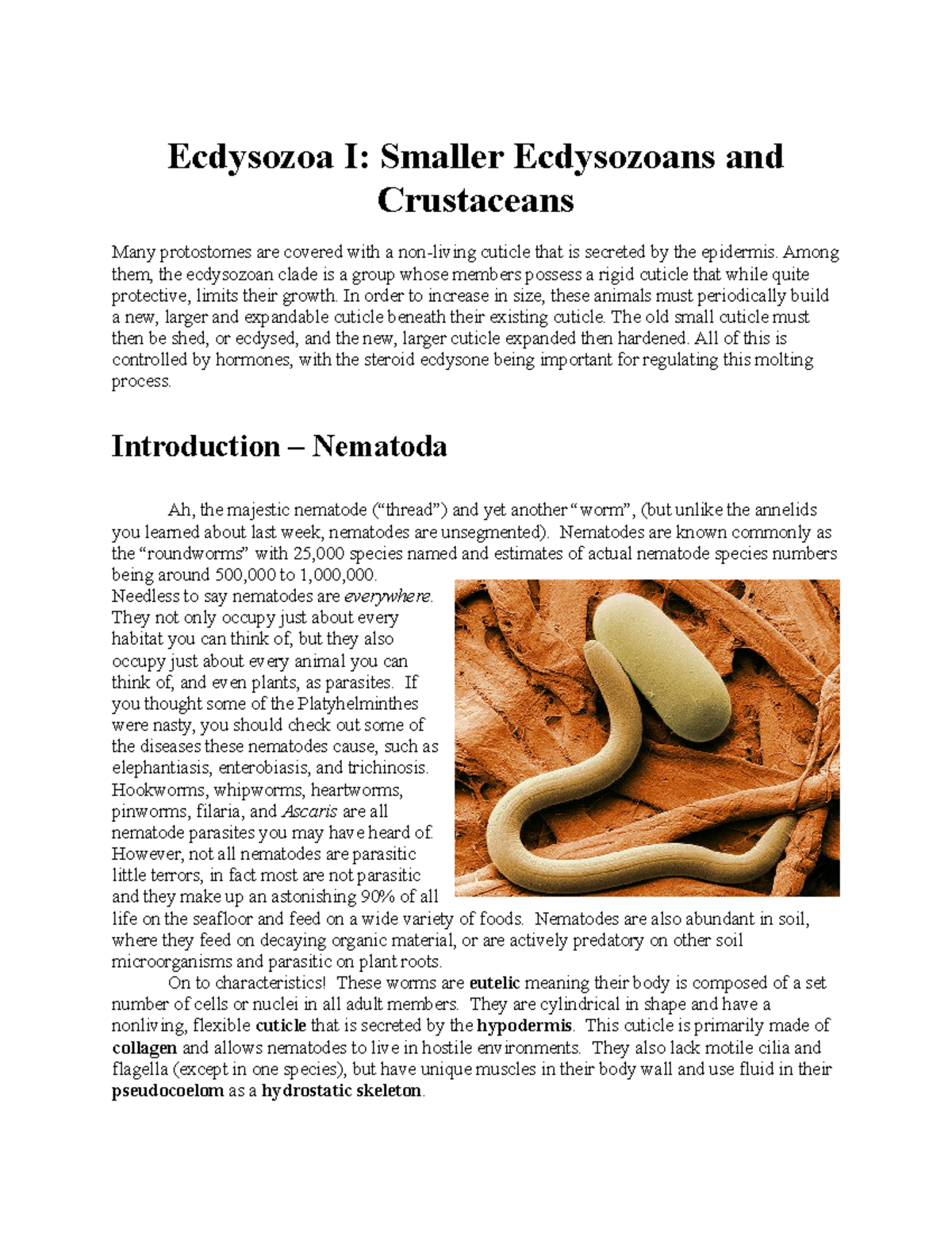 371 Lab 6 Ecdys I-Crust. S'19 - Ecdysozoa I: Smaller Ecdysozoans and ...