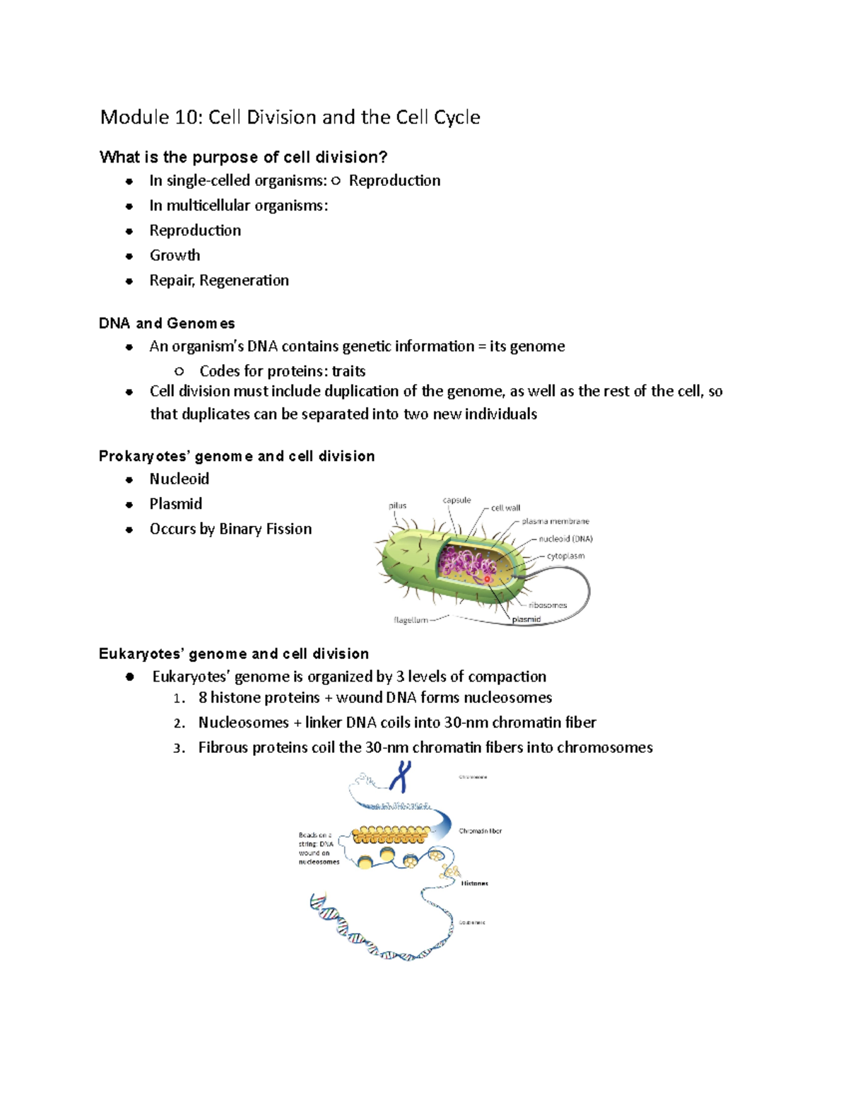 Lecturemod 10-10 - Bio 151 dr. cario lecture notes. - Module 10: Cell ...