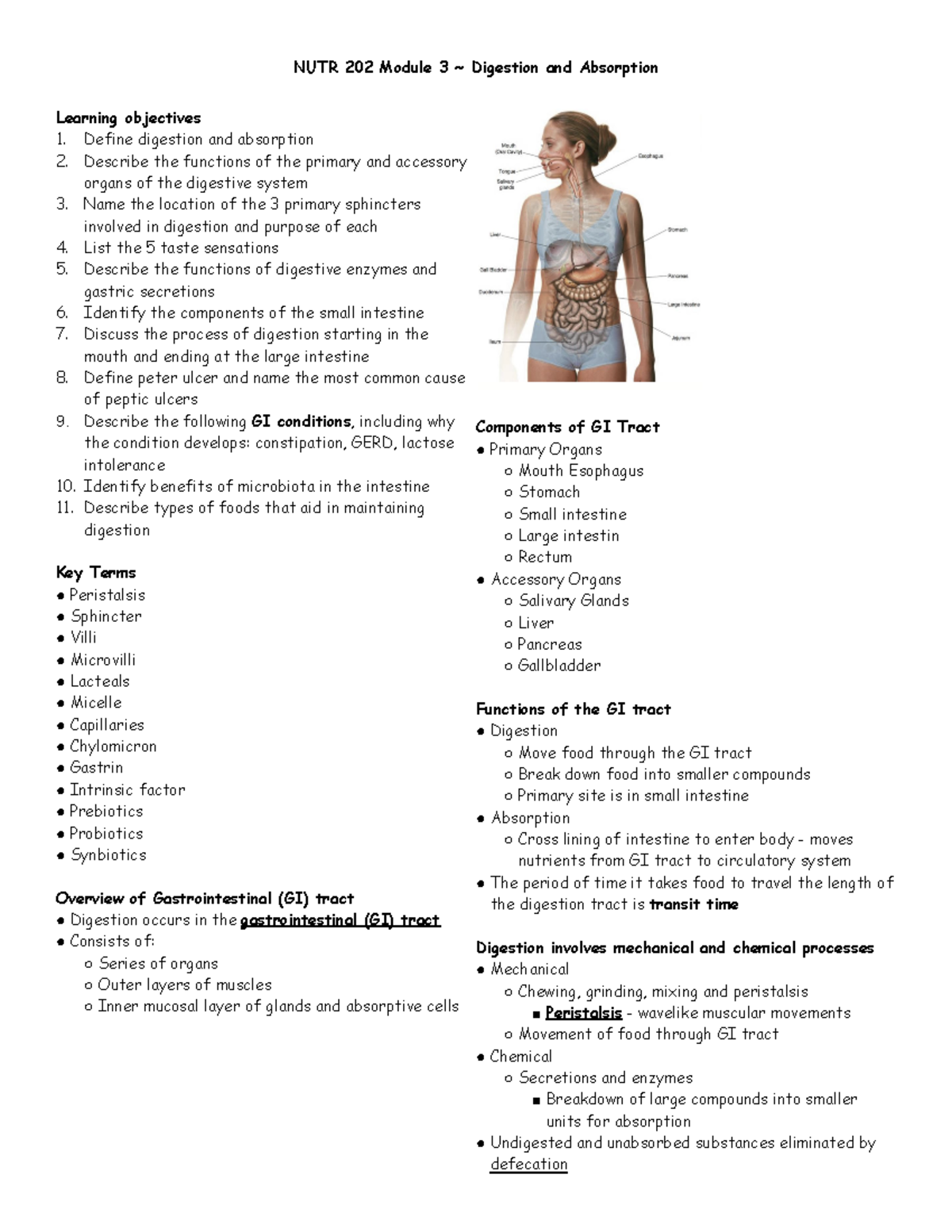 NUTR 202 Module 3 ~ Digestion and Absorption (Danielle Hammond-Krueger ...