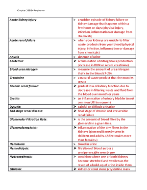 Norepinephrine drug card-1 - ACTIVE LEARNING TEMPLATES THERAPEUTIC ...