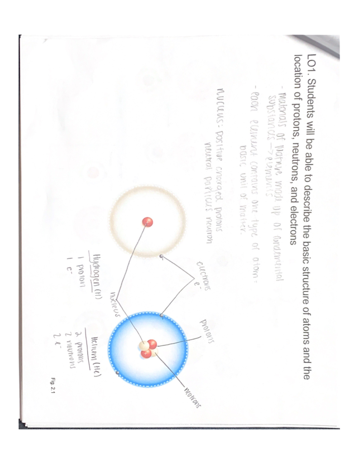 Bio 181 Lecture Notes Bio 181 Dr B S Section Bio 181 Studocu