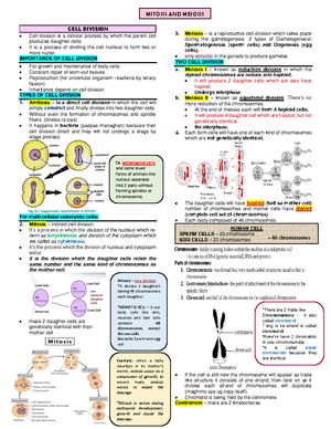 LAB- Exercise- Mitosis - LABORATORY EXERCISE # 1 CELL DIVISION: MITOSIS ...