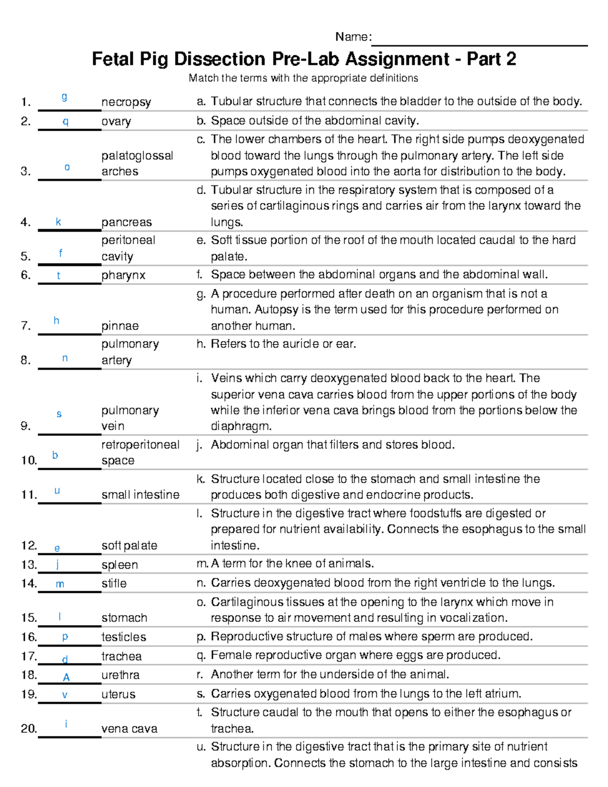 Prelab - Name: Fetal Pig Dissection Pre-Lab Assignment - Part 2 Match ...