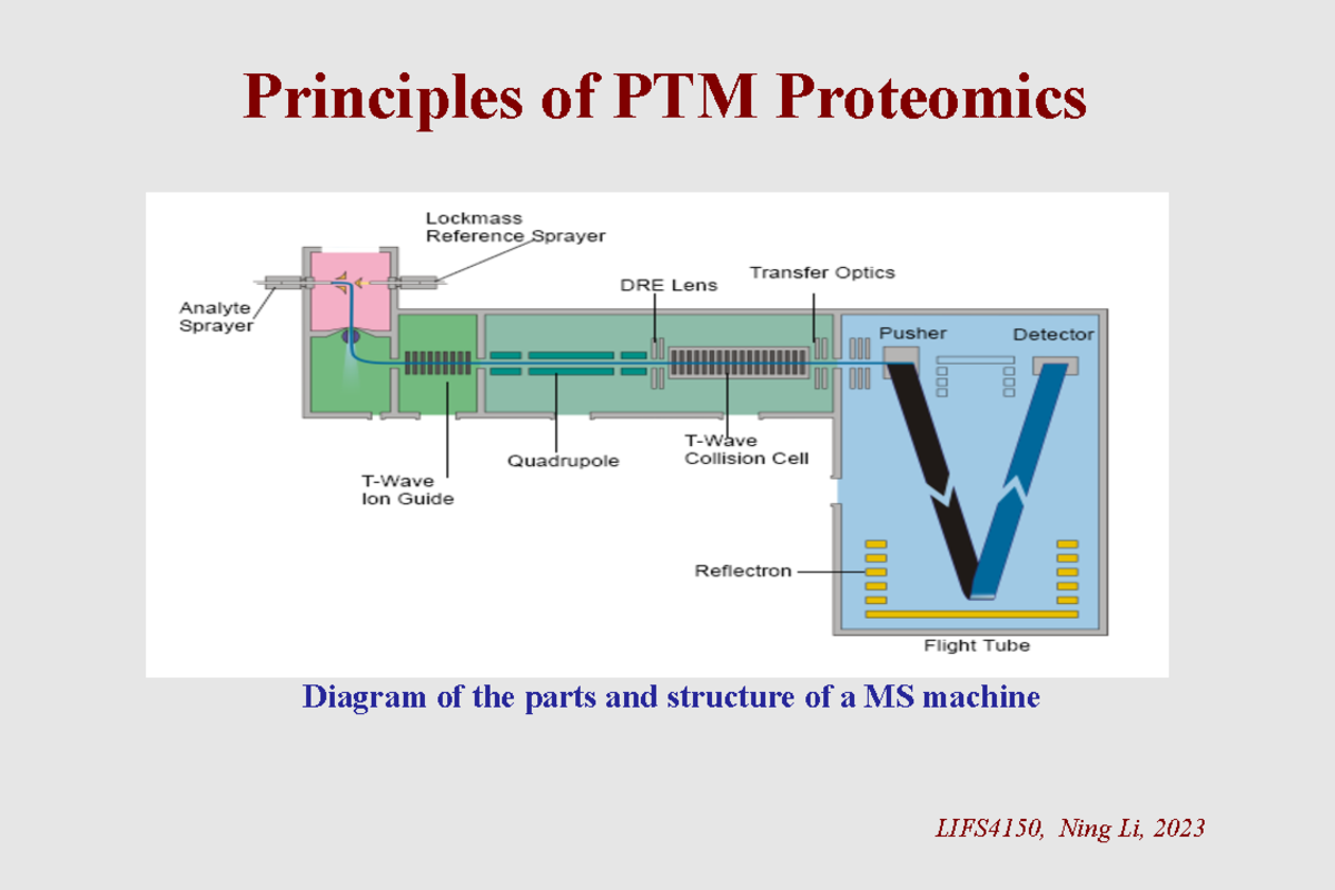 F-16-Oct 2023-Pricinple-PTM - Principles of PTM Proteomics LIFS4150 ...