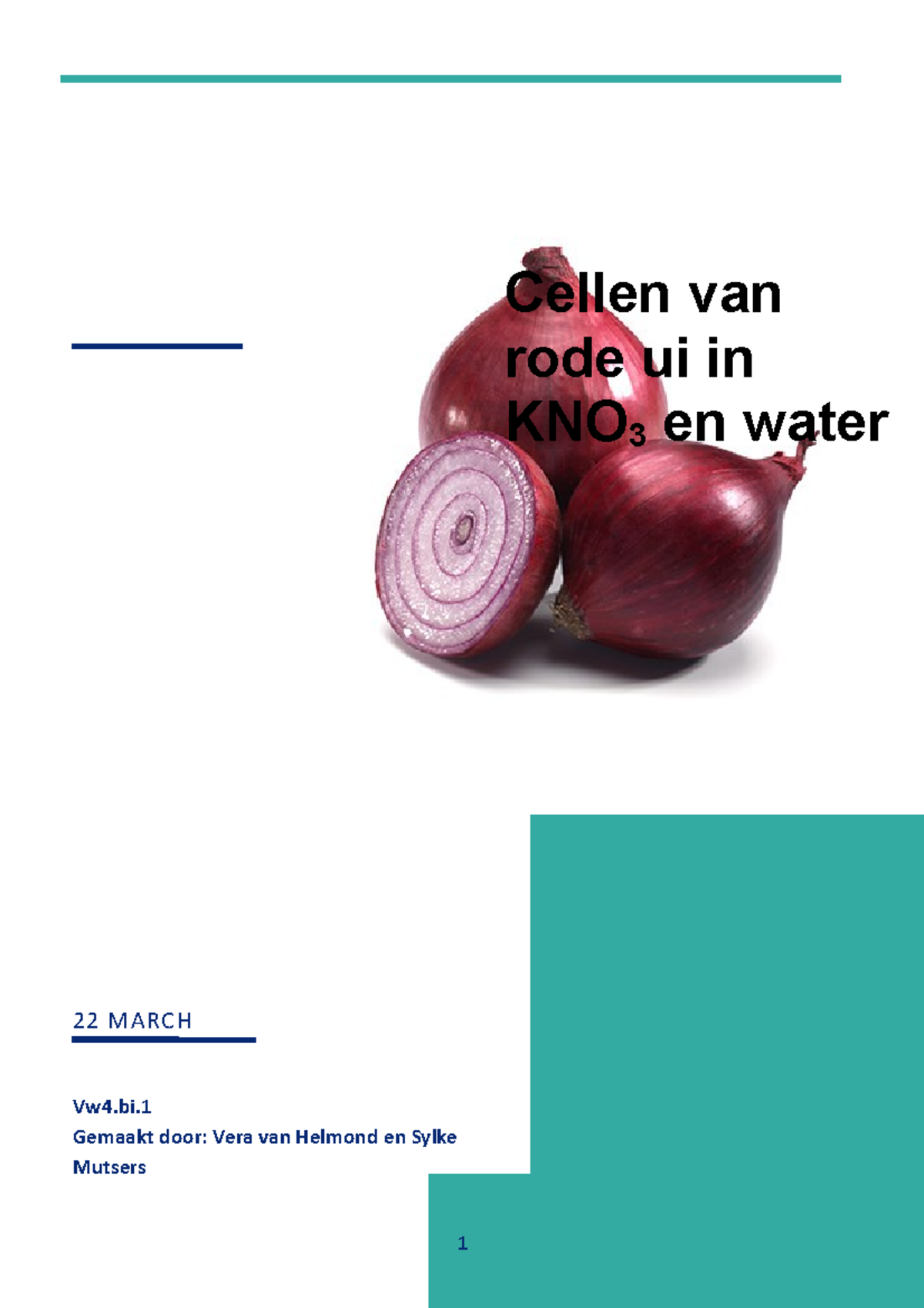 Practicum rode ui - 22 MARCH Vw4. Gemaakt door: Vera van Helmond en ...