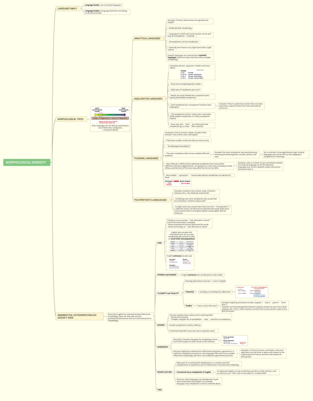 TEMA 5 - Tema 5 - MORPHOLOGICAL DIVERSITY LANGUAGE FAMILY MORPHOLOGICAL ...