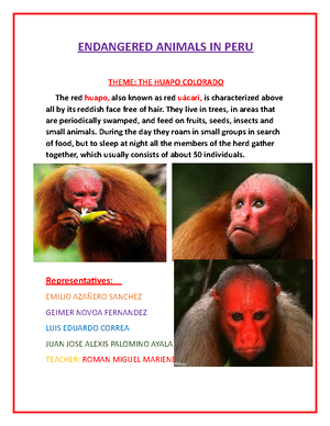 Grammar Vocabulary First and First for Schools irregular verbs ...