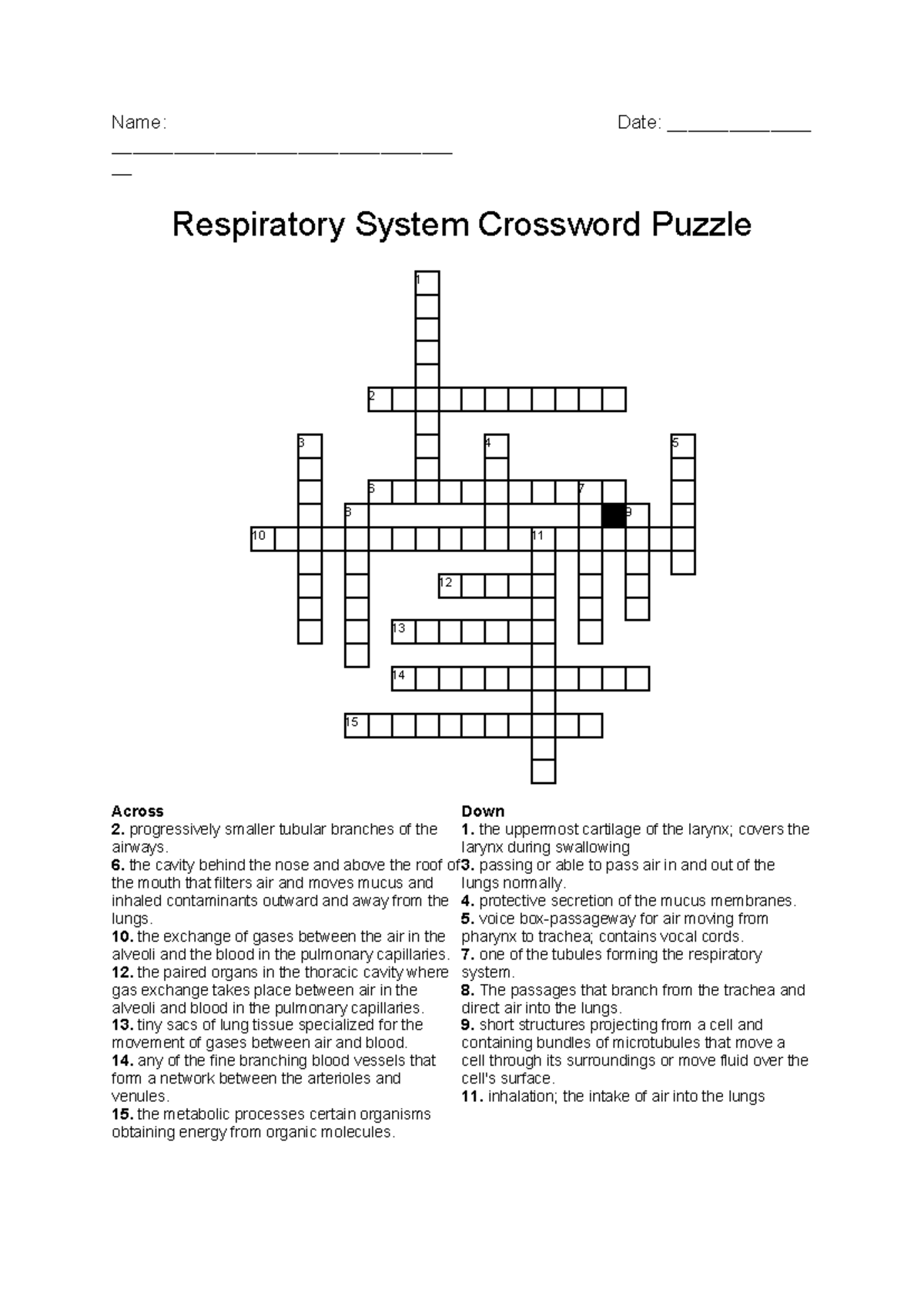 Respiratory System Crossword Puz 4b1fd 6164585 c - Name