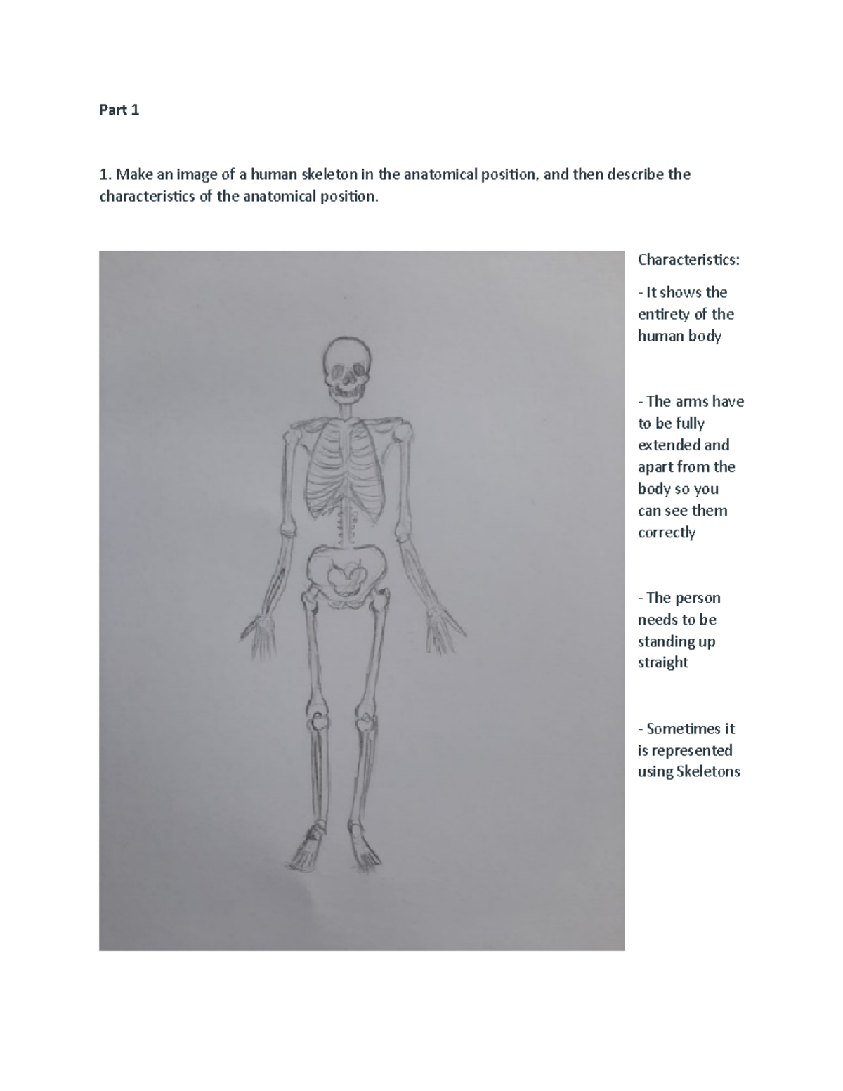 Activity 1 - Human Body Care - Part 1 Make an image of a human skeleton ...