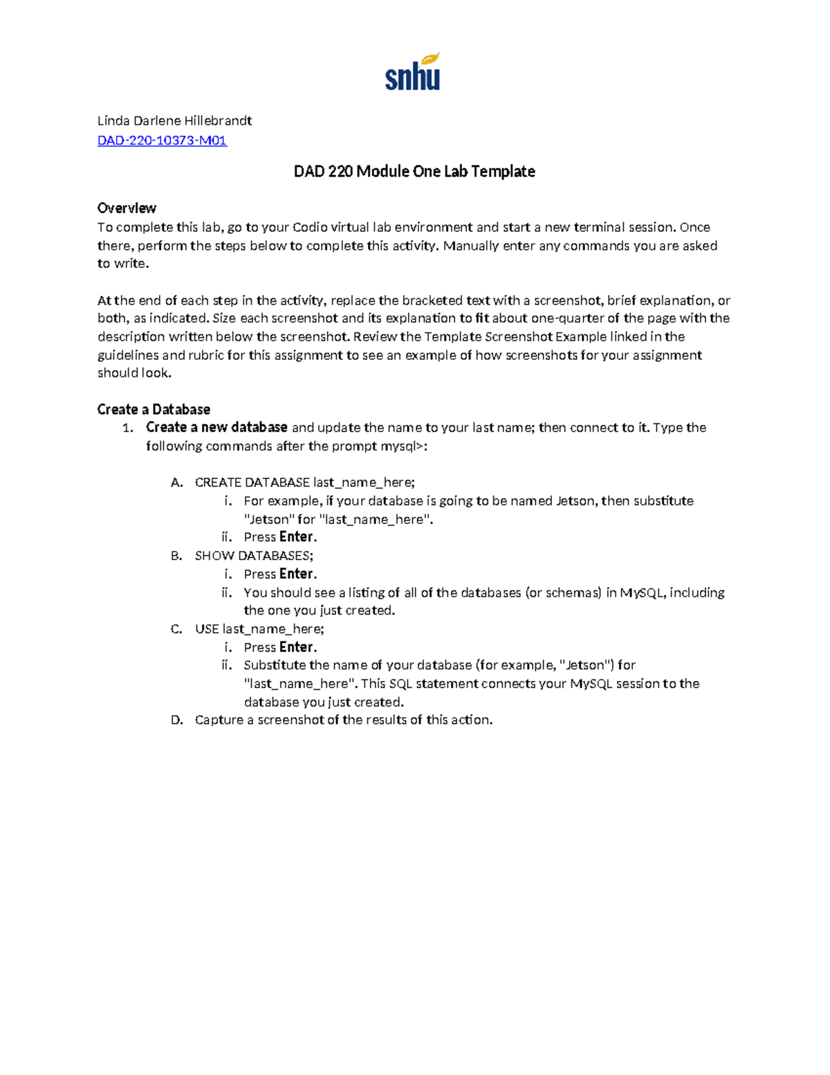 DAD 220 Module One Lab - Linda Darlene Hillebrandt - DAD-220-10373-M ...