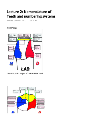 Lecture 3.2 Anatomical landmarks of the crown II - Crown depressions ...