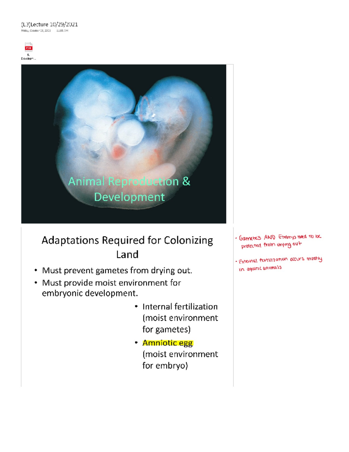 Bio 106 lecture 26 - (E3)Lecture Friday, October 29,2021 11:08 AM PDF 5 ...