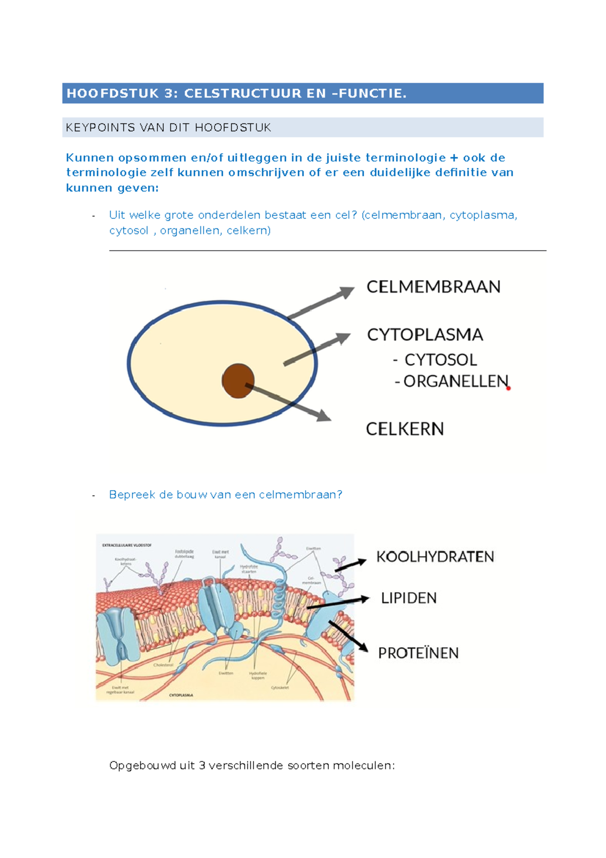 Keypoints H3 - HOOFDSTUK 3: CELSTRUCTUUR EN –FUNCTIE. KEYPOINTS VAN DIT ...