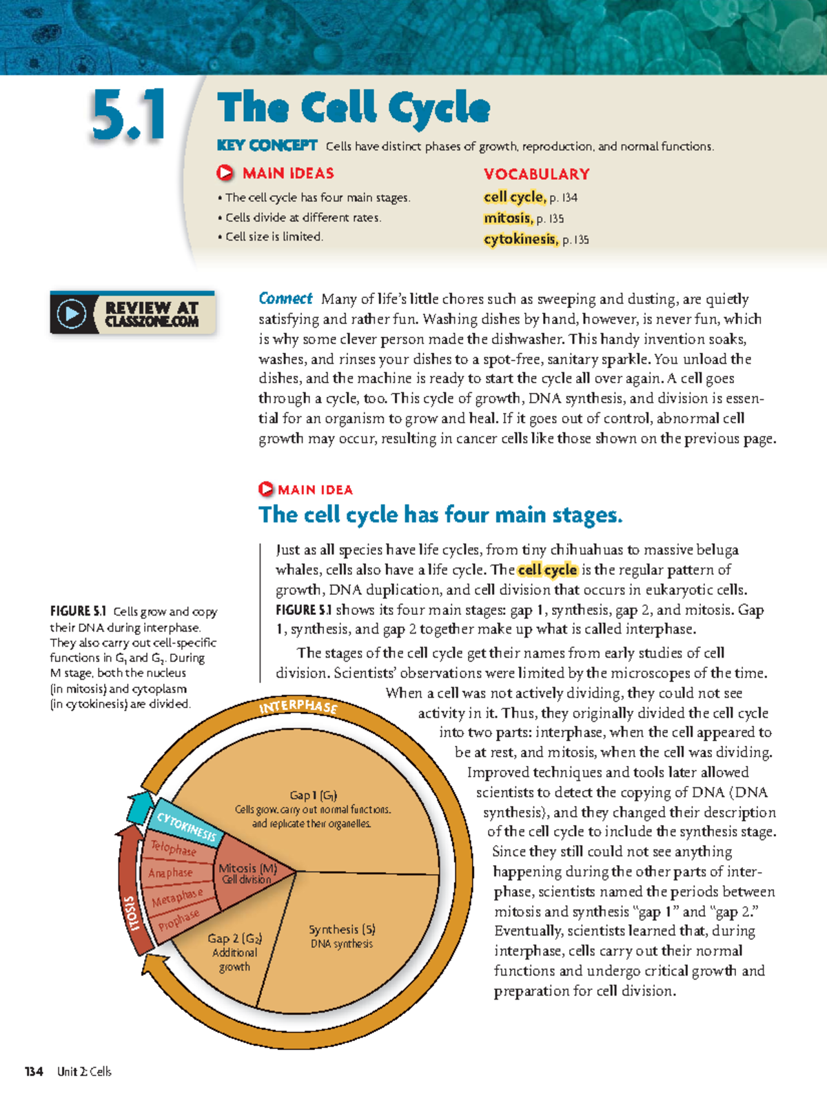 Cells and Organelles