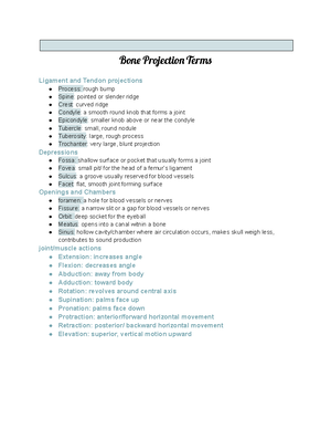 Skeletal system study guide - Skeletal System Study Guide describe the ...
