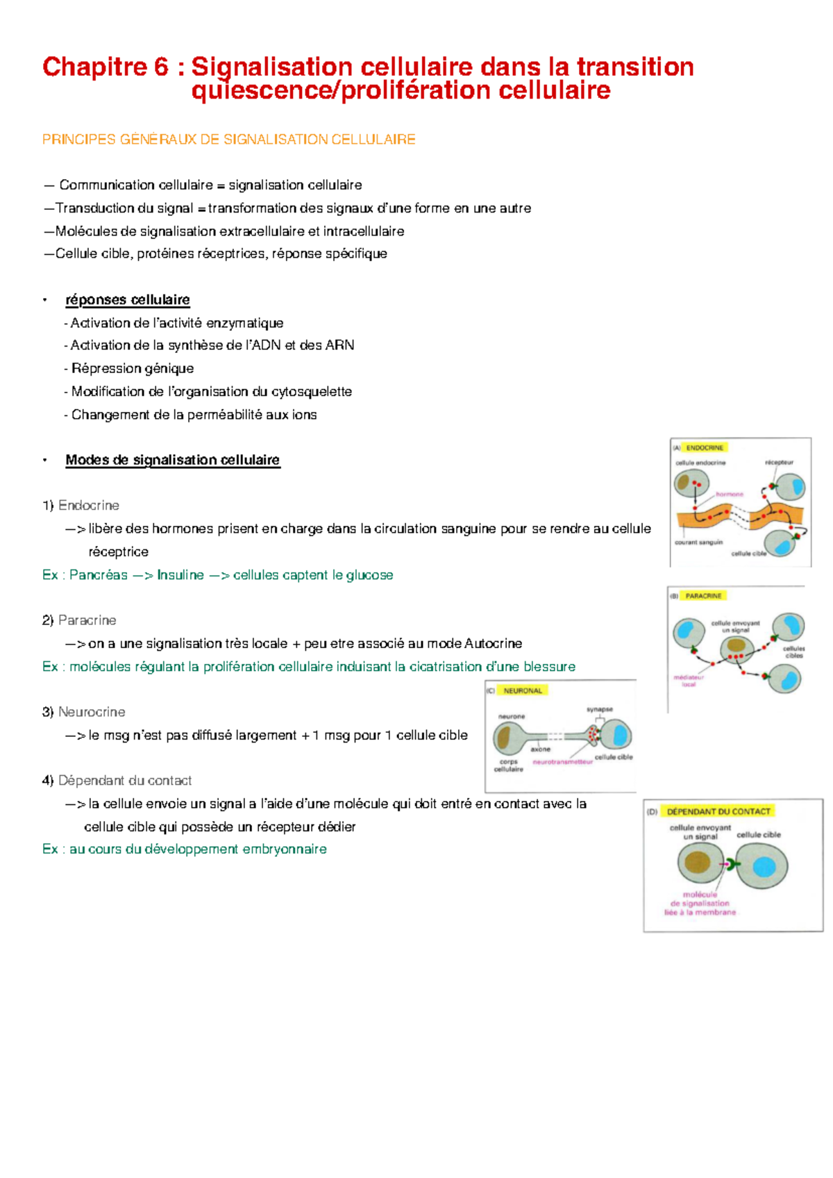 Chapitre 6 - Signalisation Cellulaire Dans La Transition Quiescence ...