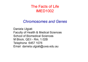 Lecture 16 Chromosome Replication - The Facts of Life IMED1002 Liz ...