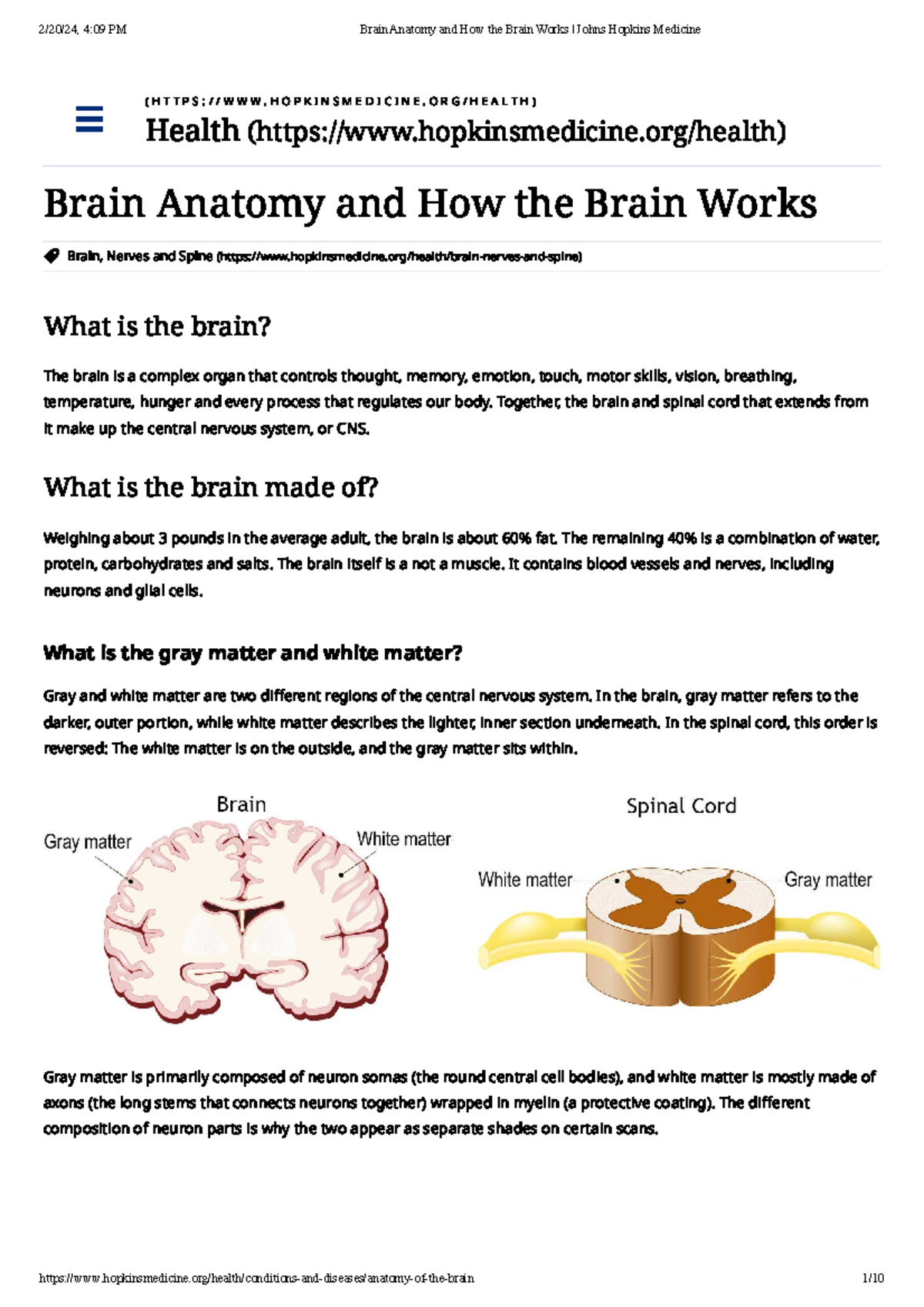 Brain Anatomy and How the Brain Works Johns Hopkins Medicine - Brain ...