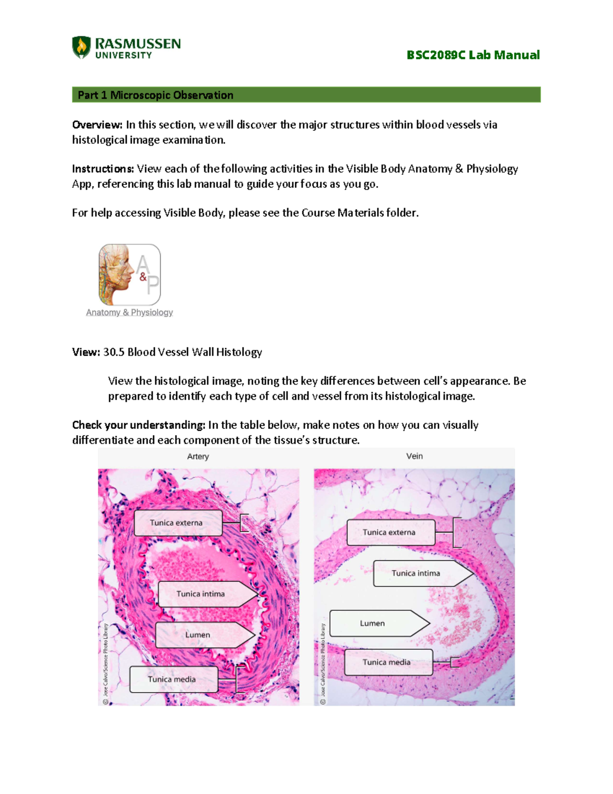 Lab Manual Module 03 - BSC 2347 - Studocu