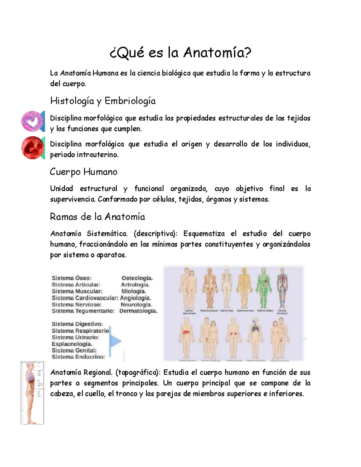 Morfo ppt 1 mini resumen - ¿Qué es la Anatomía? La Anatomía Humana es ...