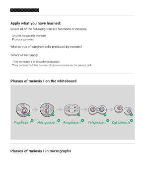 CH 5 Cell Division - Examining Mitosis - BIO 24 - Apply what you have ...
