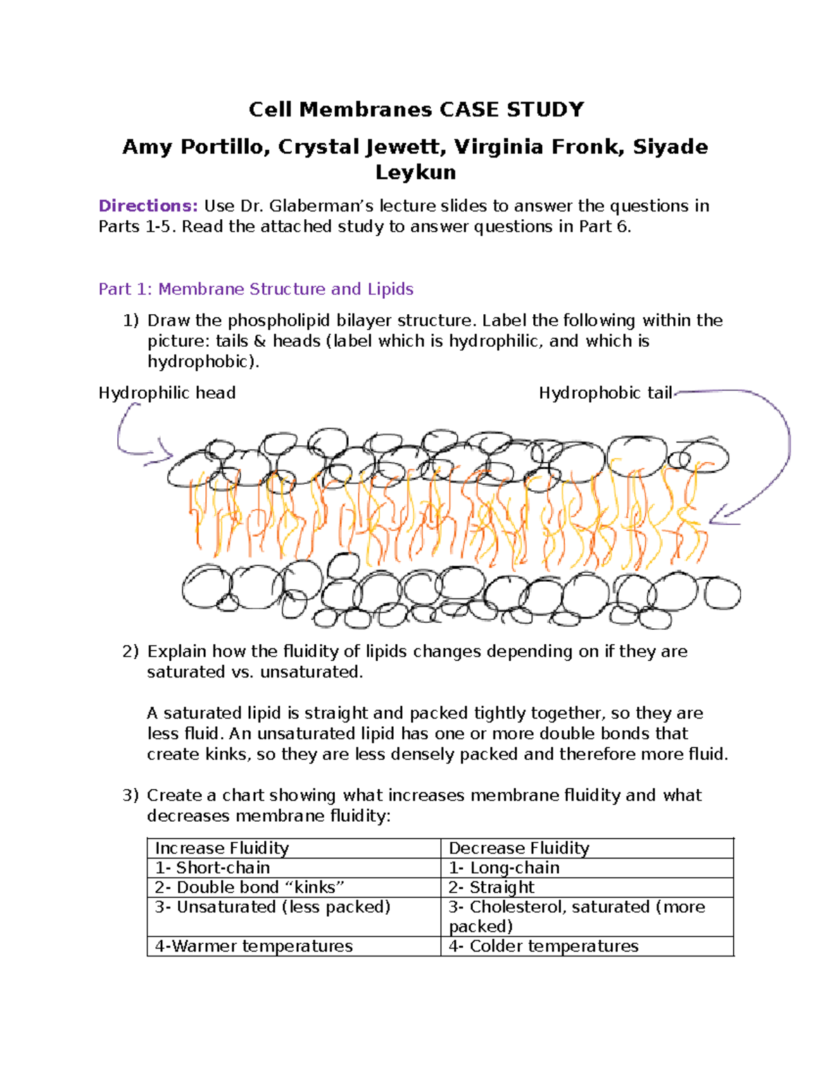 Case Study 3 - Cell Membranes - Cell Membranes CASE STUDY Amy Portillo ...