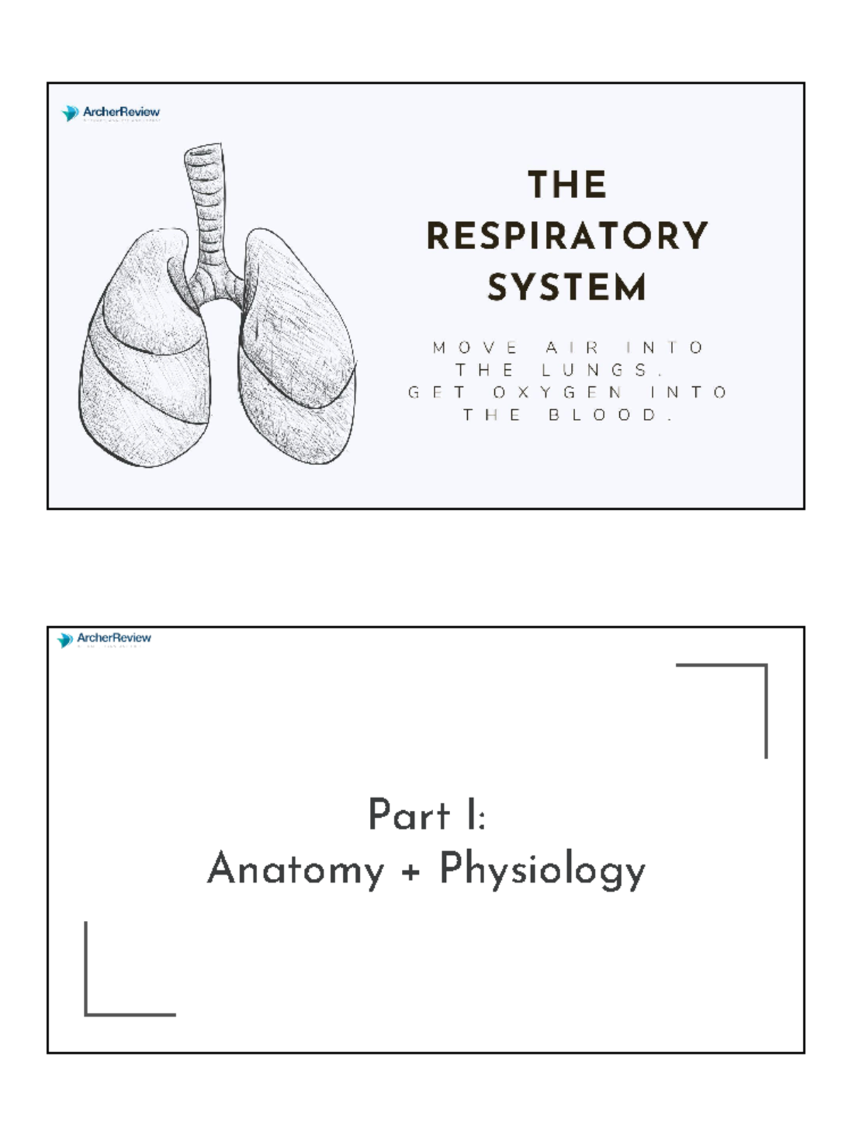 Respiratroy sytem - Anatomy notes for nclex - Respiratory Part I ...