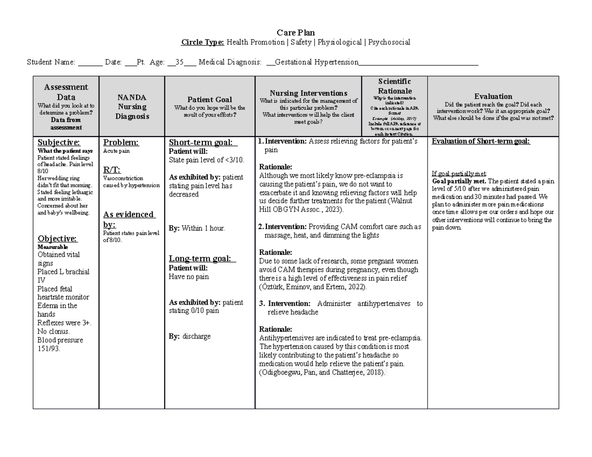 Care plan template - Care Plan Circle Type: Health Promotion | Safety ...