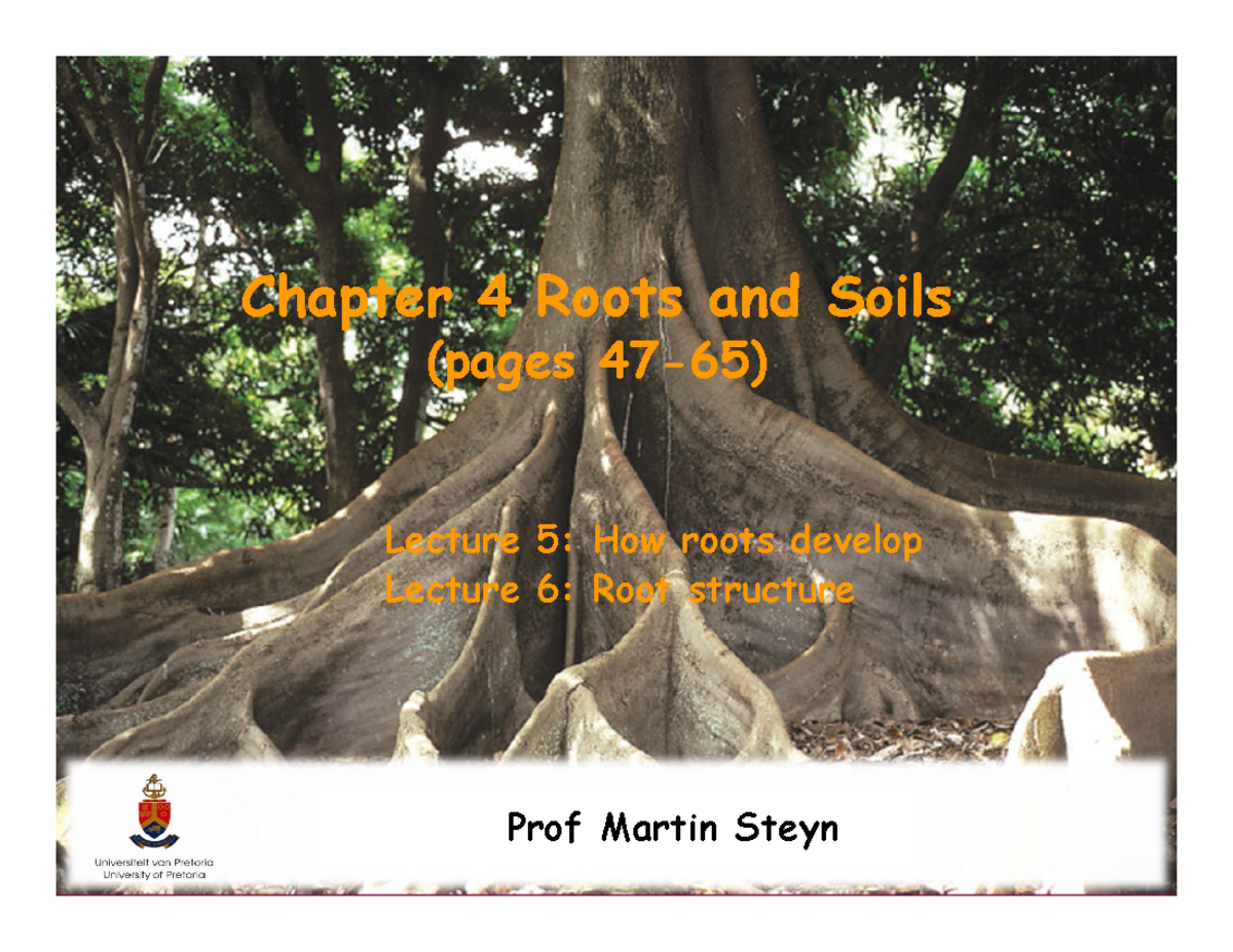 BOT161 Roots 1 - Notes - Chapter 4 Roots and Soils (pages 47-65 ...