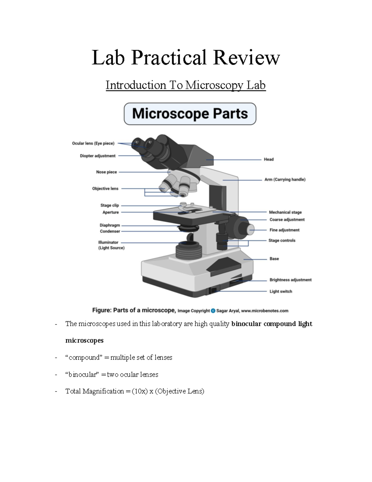 Lab Practical Review - Lab Practical Review Introduction To Microscopy ...