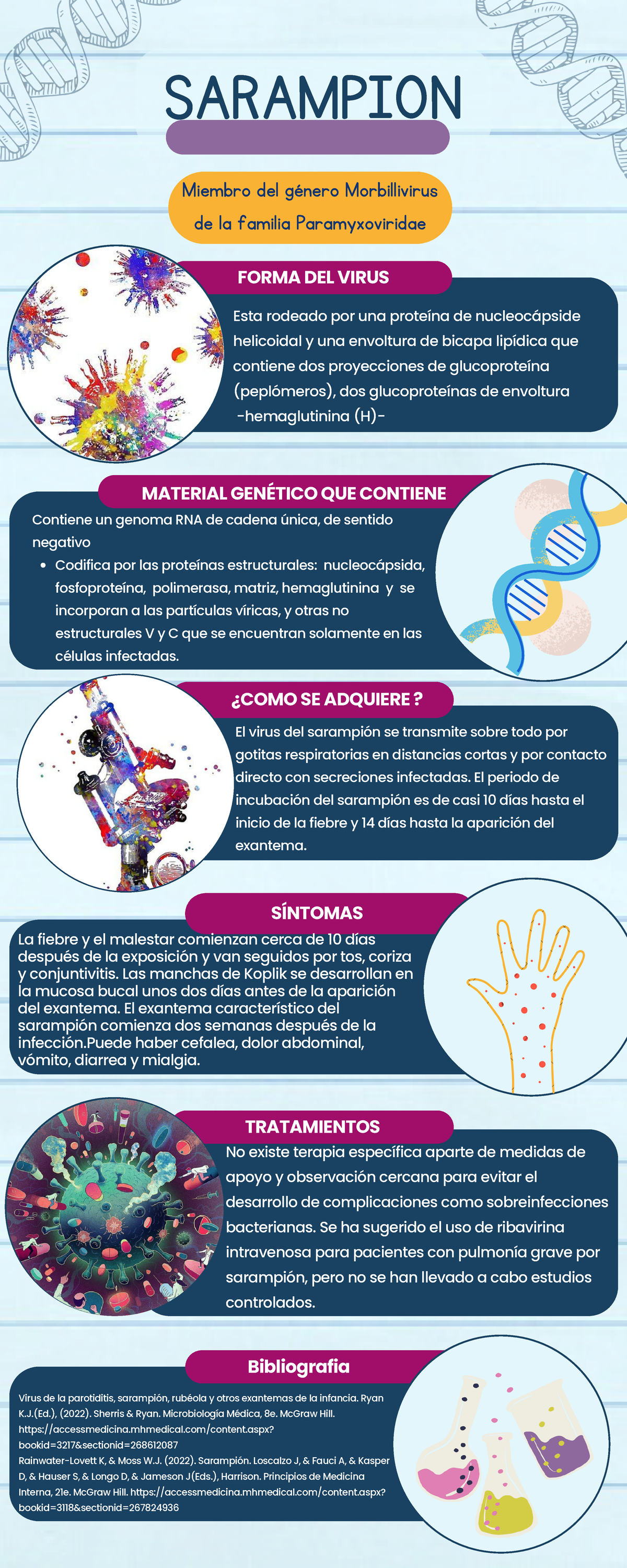 Sarampion Info - SARAMPION Miembro del género Morbillivirus de la ...