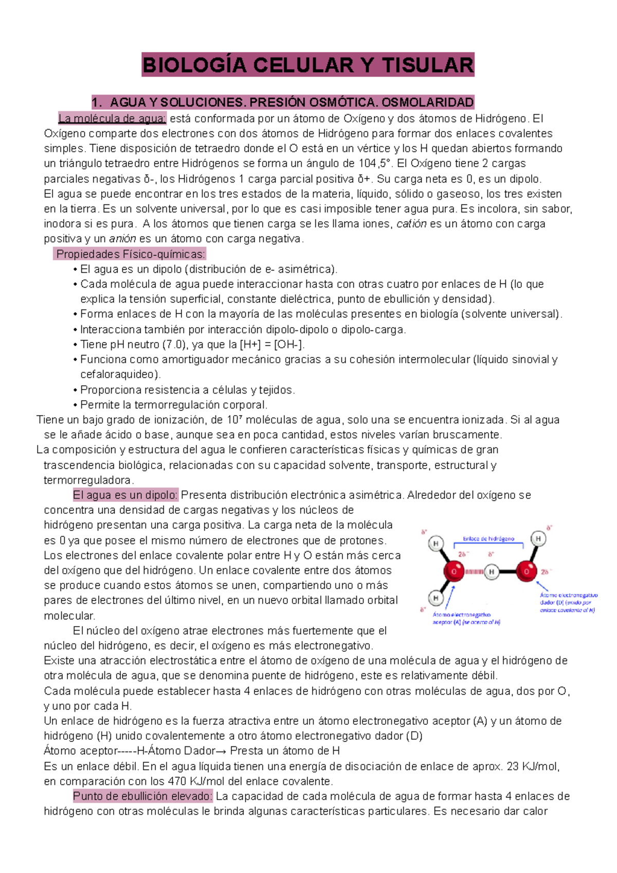Biología Celular Y Tisular - BIOLOGÍA CELULAR Y TISULAR 1. AGUA Y ...