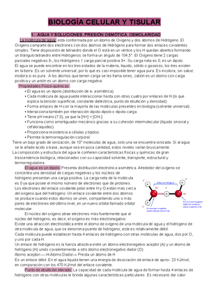 Proliferación celular - Proliferación celular El ciclo celular es ...