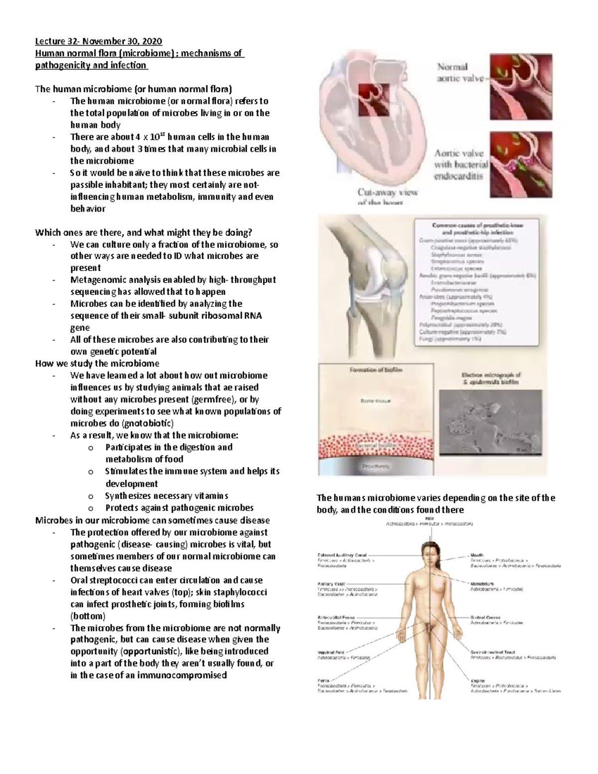 Micro-Lecture 32 - Microbiology for Health Professionals Fall 2022 ...