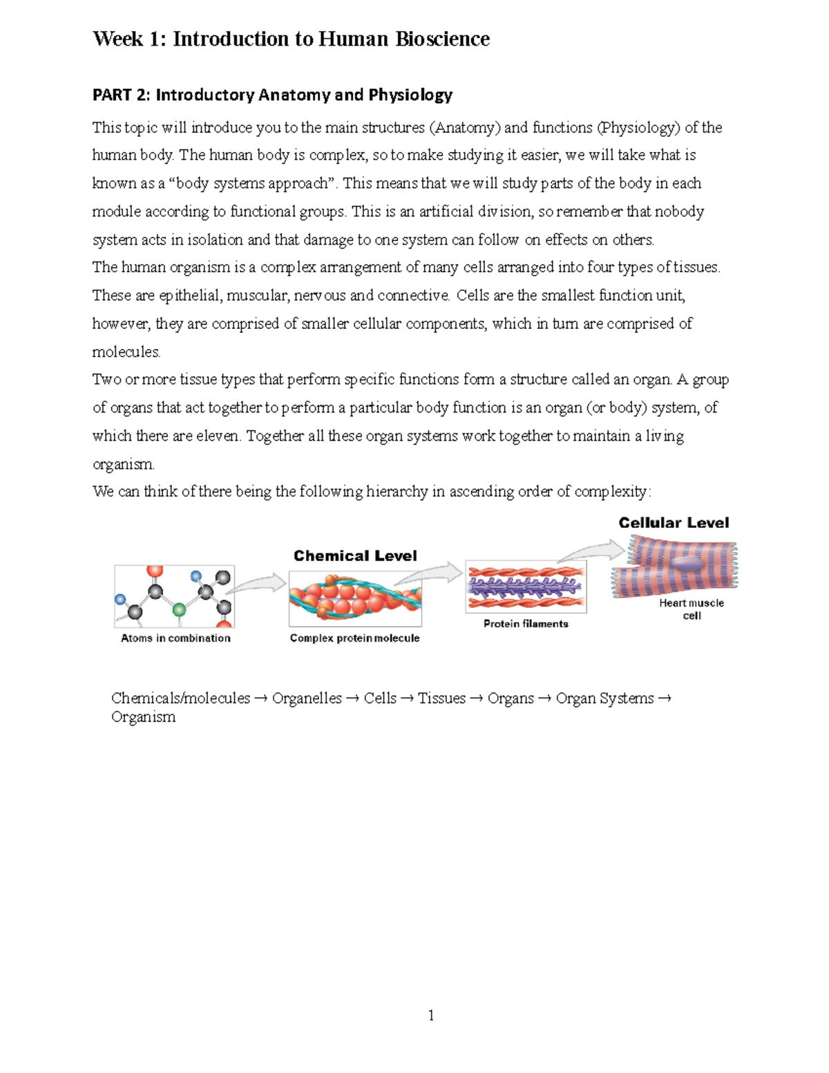 Weekly workbook 1 Introduction to bioscience part 2 - Week 1: Introduction to Human Bioscience ...