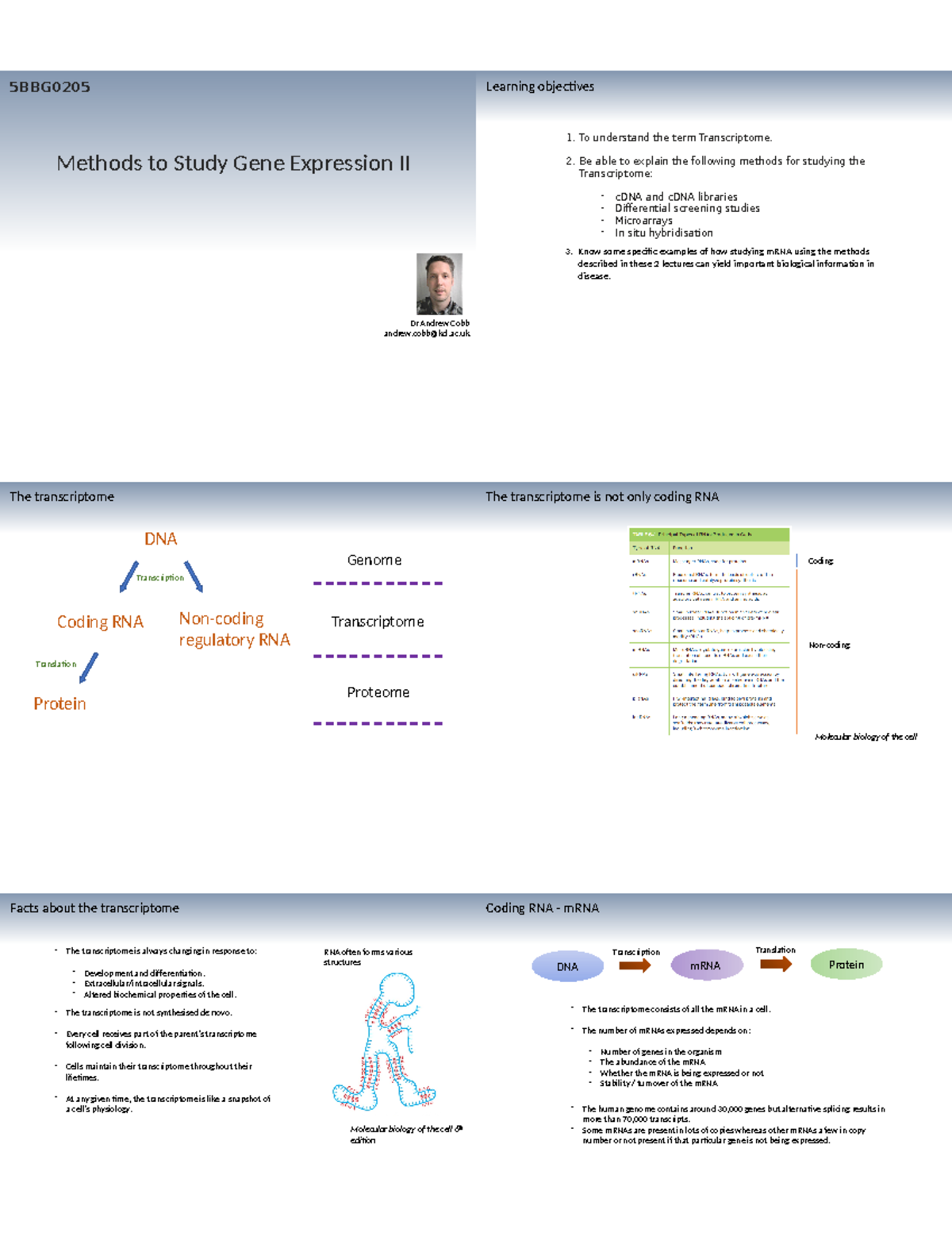 10 part 2 - notes - Methods to Study Gene Expression II Dr Andrew Cobb ...