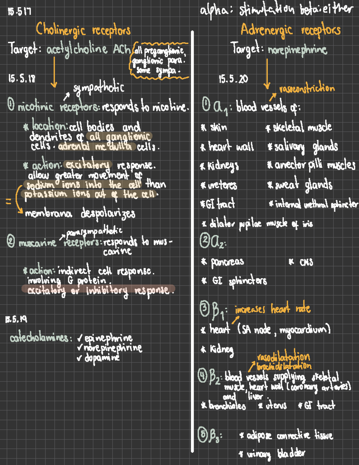 Chapter 15 - Nervous System - 15 alpha : stimulation beta : either ...