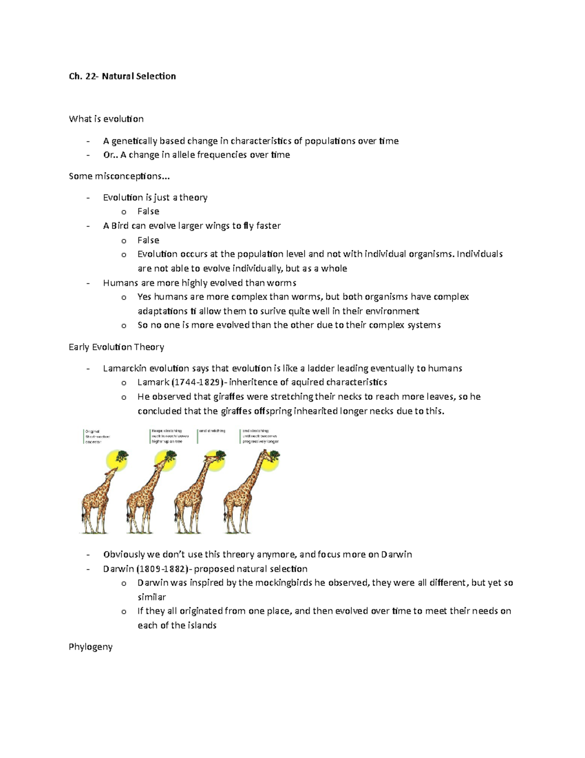 BIO 151- CH 22- Natural Selection - Ch. 22- Natural Selection What is ...