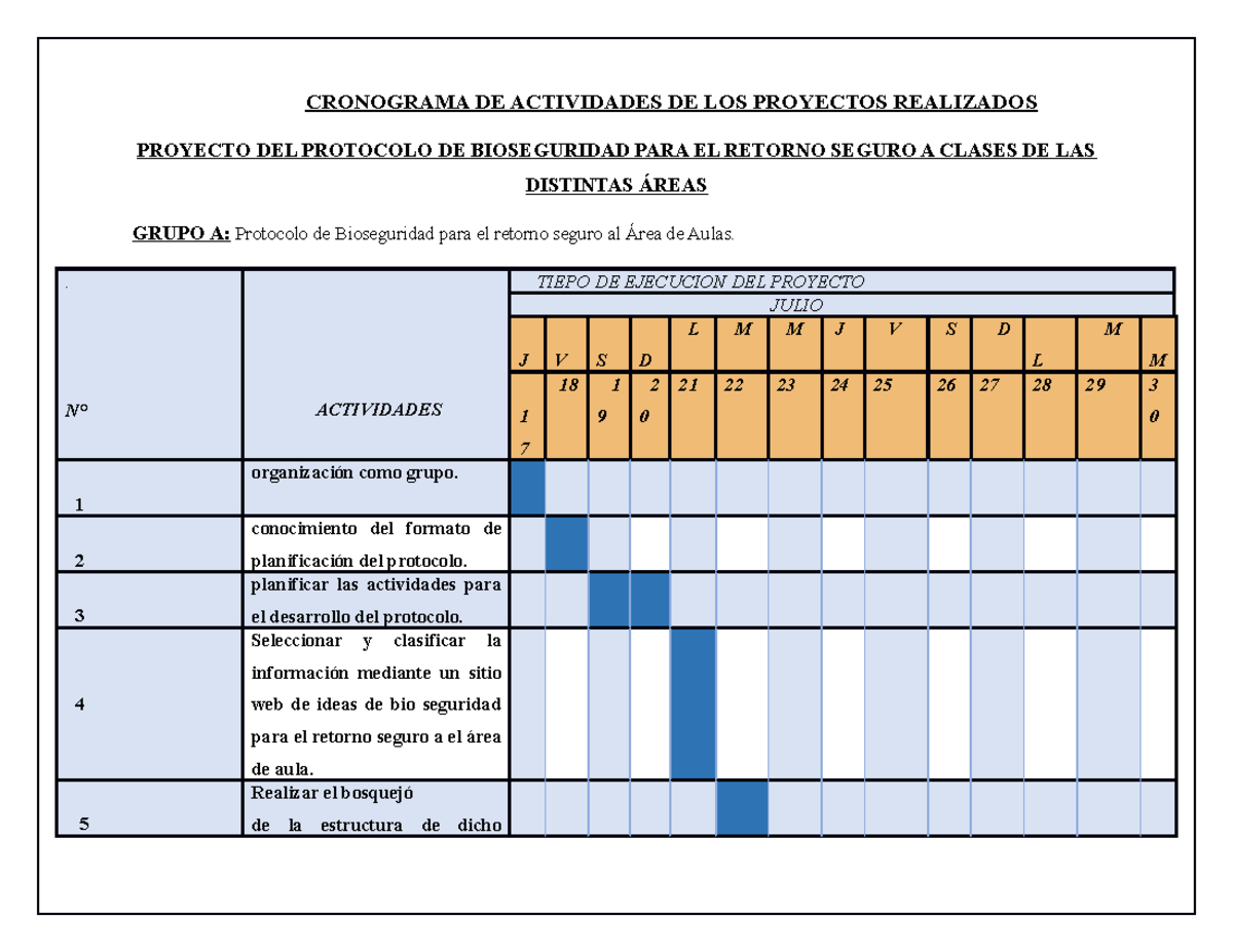 Cronograma de actividades de los proyectos - CRONOGRAMA DE ACTIVIDADES ...